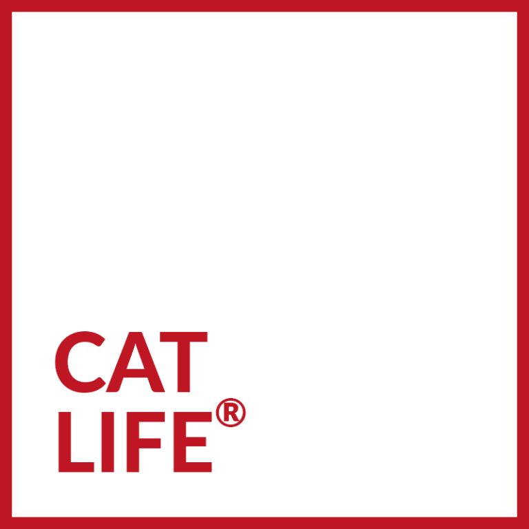 SCR Catalysts – Ceram Austria GmbH